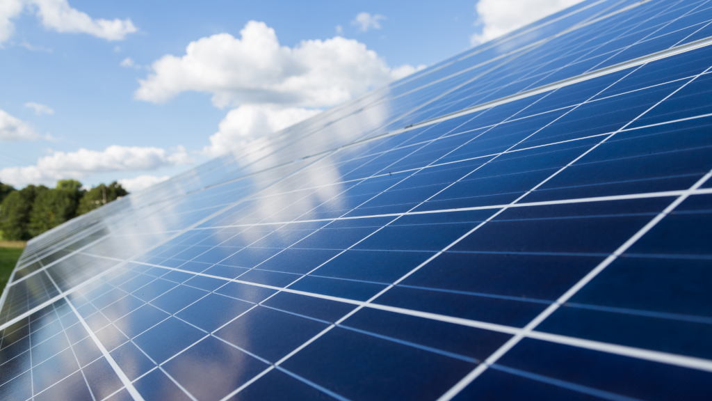 Council looks to update climate change plan - Monmouthshire Council looks to update climate change plan - Monmouthshire
