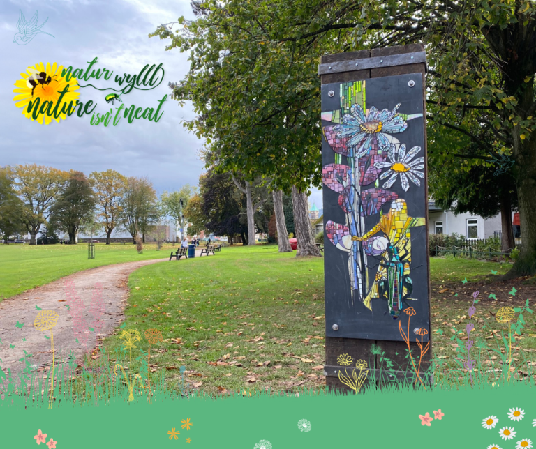 Follow the Nature Isn’t Neat trail this spring - Monmouthshire