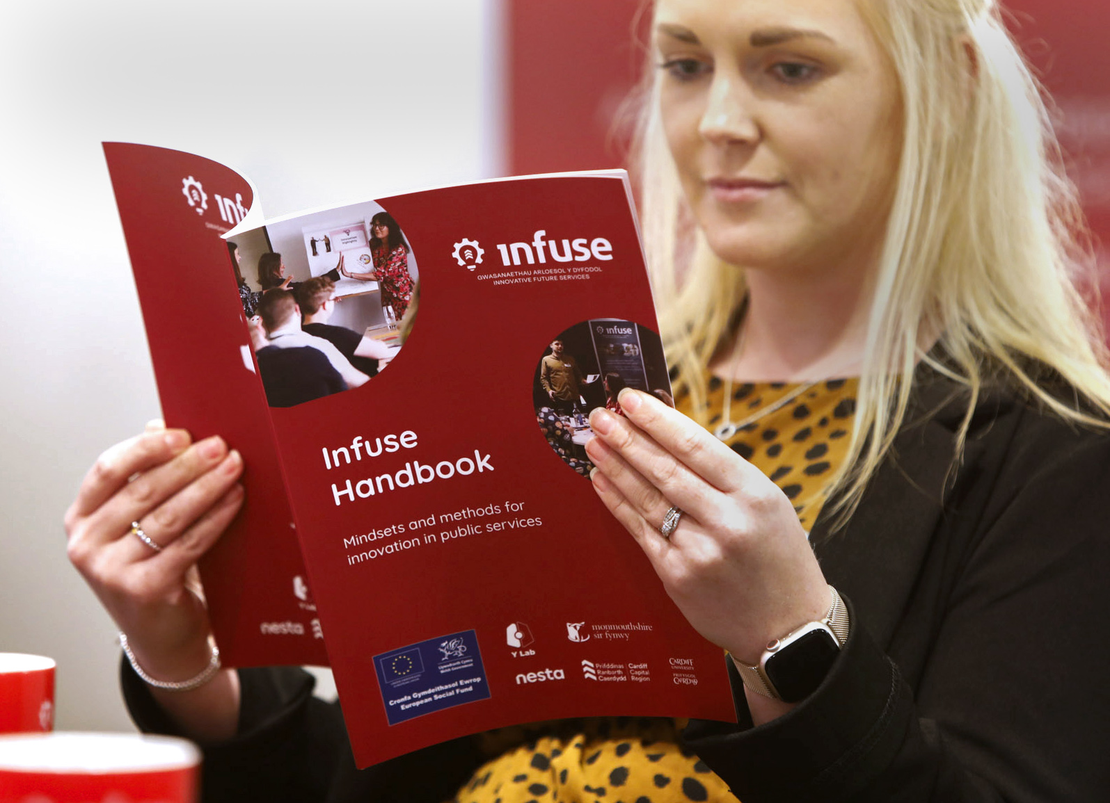 Infuse-handbook-photo - Monmouthshire
