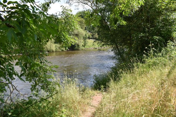 Usk-island_Usk - Monmouthshire