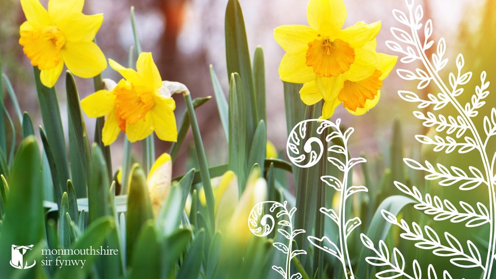 MCC_Spring-Teams-background - Monmouthshire