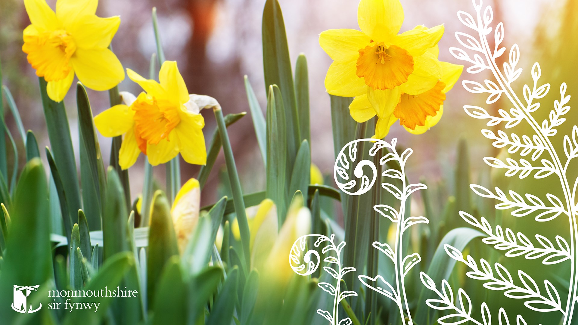 MCC_Spring-Teams-background - Monmouthshire